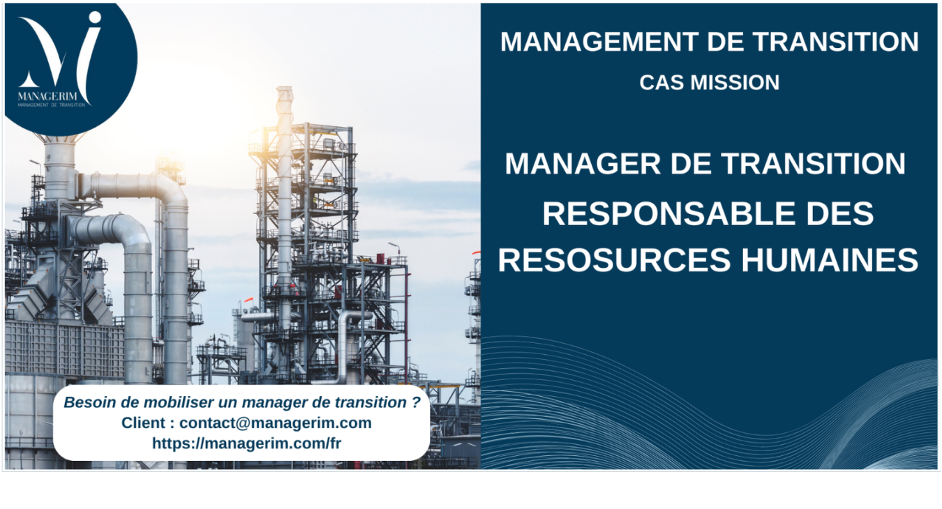MANAGERIM | Management de Transition